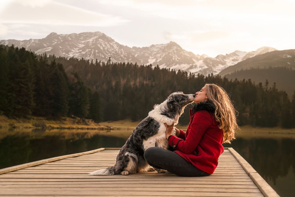 Accueil - Elevage Of Xemiris - eleveur de chiens Border Collie